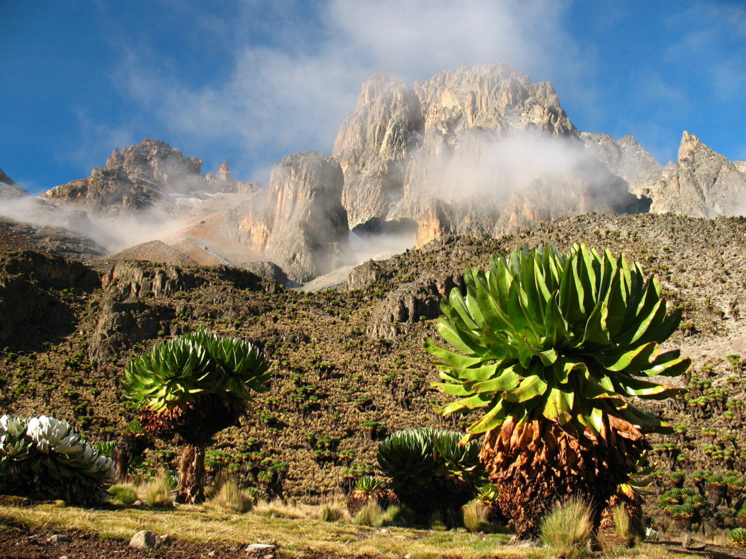 Mount Kenya National Park/Natural Forest, World Heritage Site in Kenya ...